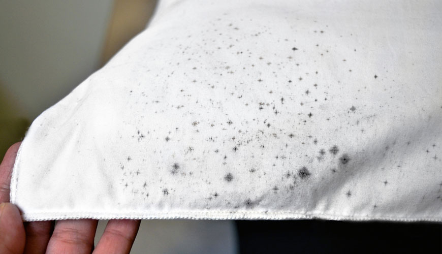 AATCC 30 抗真菌評估和抗黴菌測試