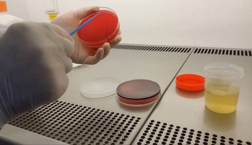 BPA Free Tests and Certification