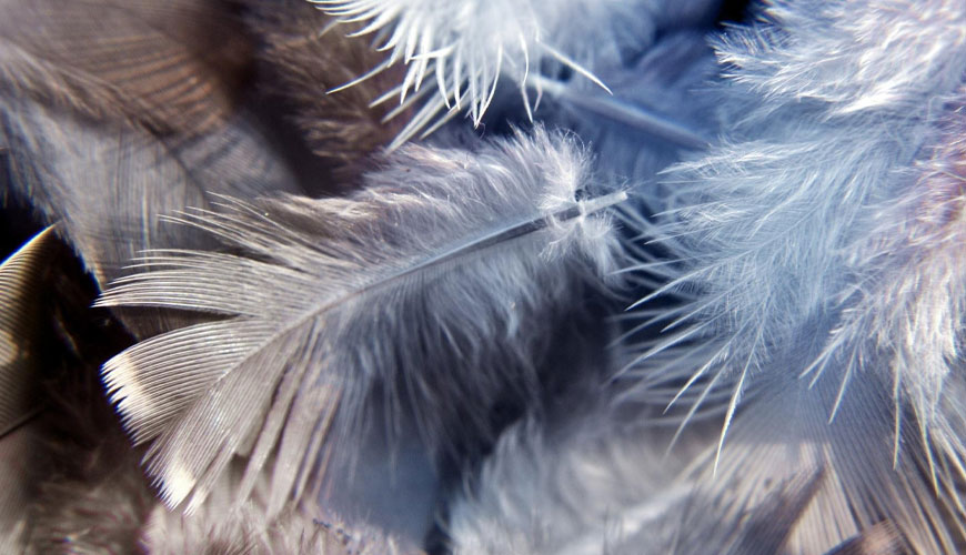 EN 1885 Feather and Down - Standard Test Method for Terms and Definitions